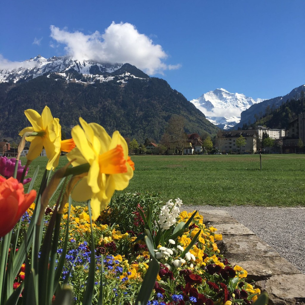 Summer time in Interlaken - Balmers Hostel