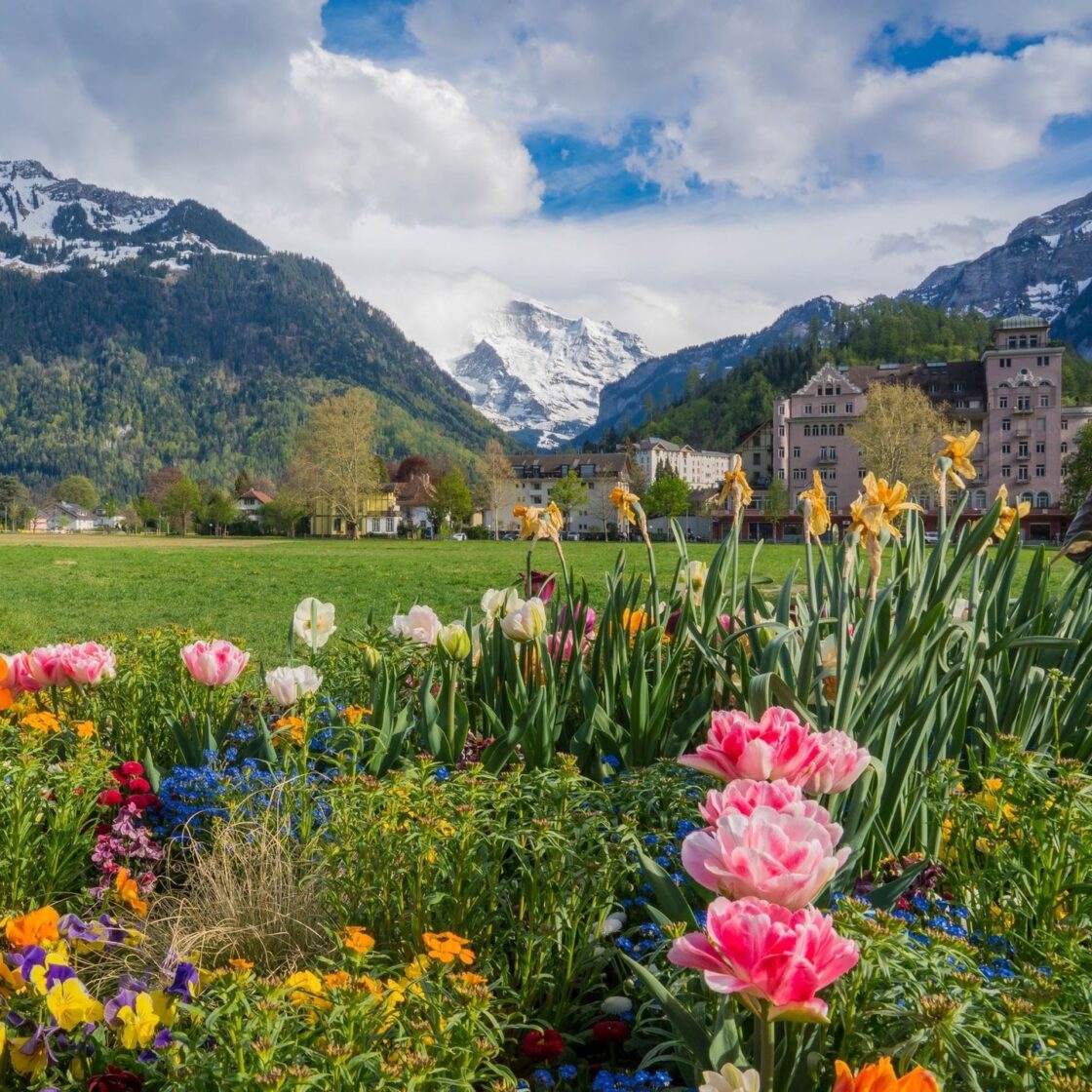 Spring in Interlaken - Activities and Tips - Activities & Tips ...
